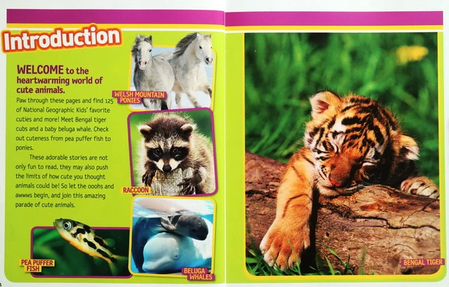 National Geographic Cute Animals