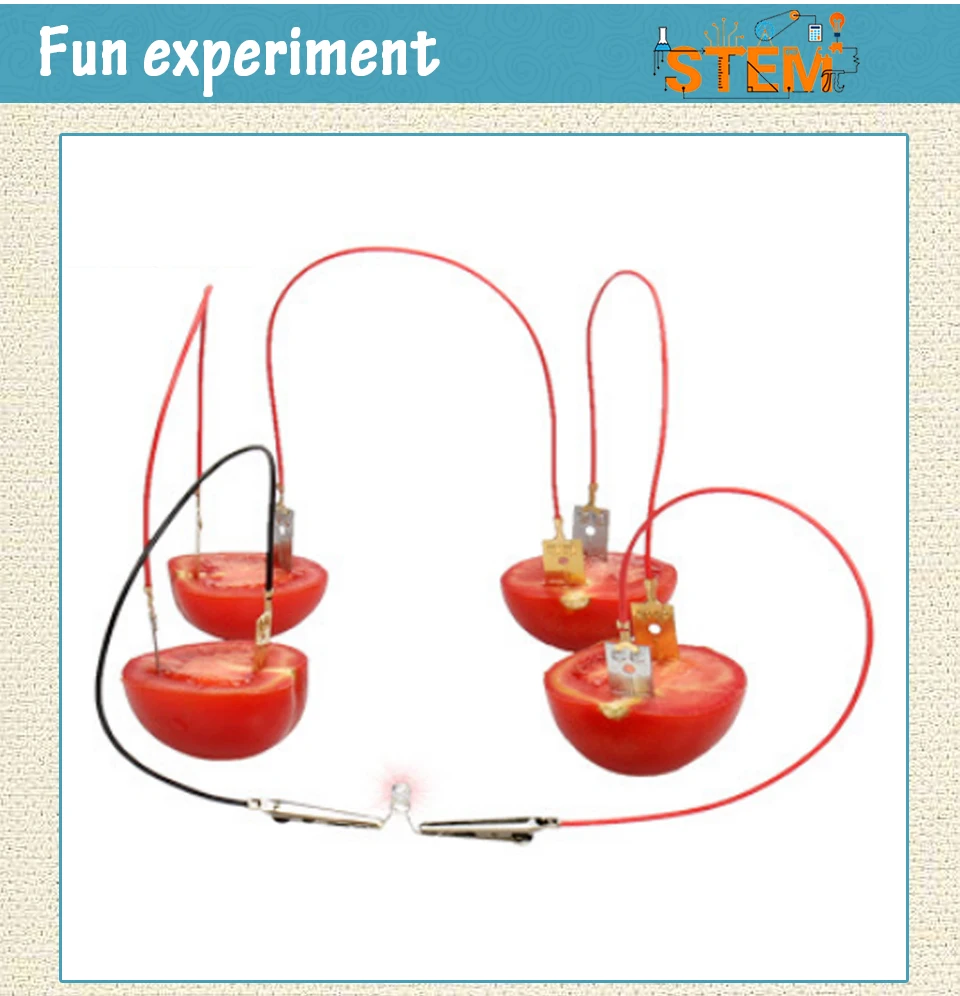 Physics Labs Basic Electricity Discovery Circuit and Magnetism Experiment Learning kits for ...