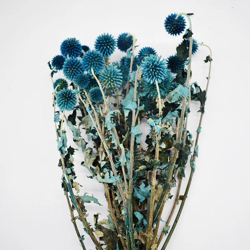 Natural-Preserved-Dried-Display-Flower-Bouquets-Eternal-Rose-Blue-star ...