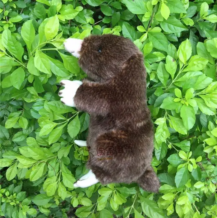 25CM-Lifelike-Mole-Plush-Stuffed-Toy-Doll-Kids-Gift-Cute-mole-Stuffed ...