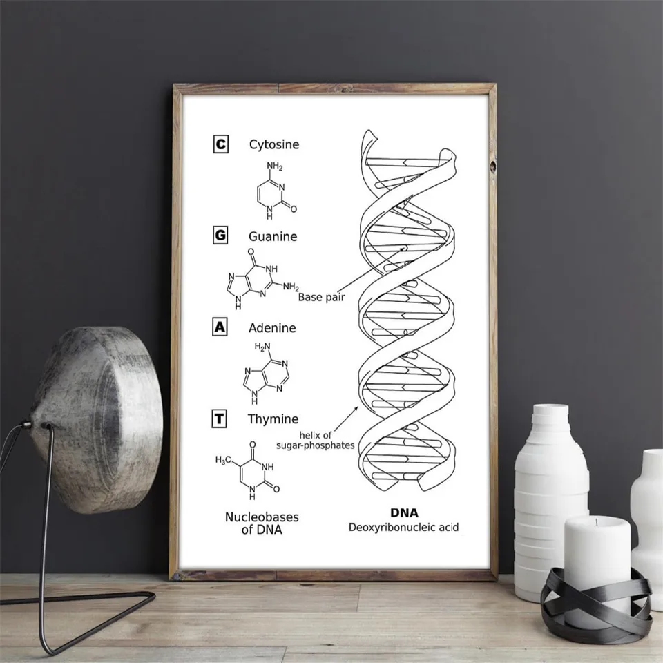 Biology Dna Black And White