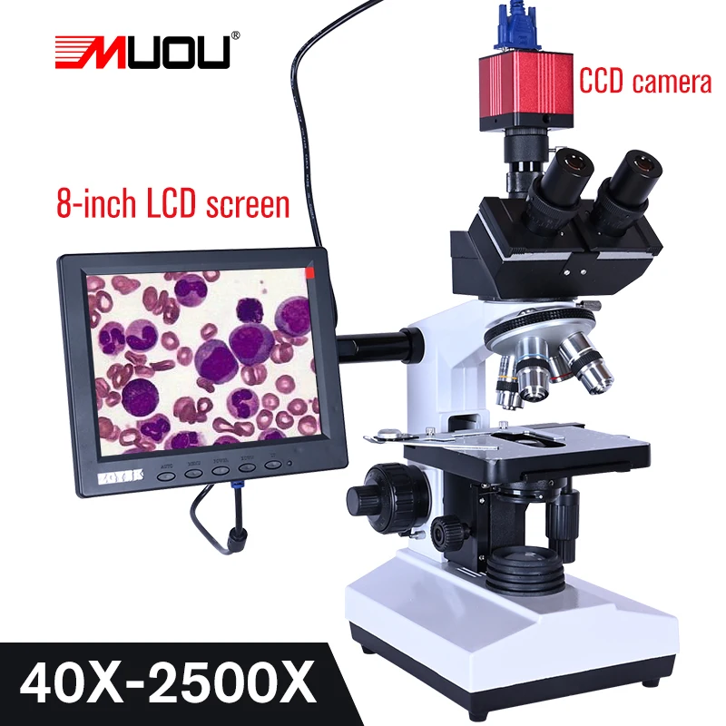 Professional Lab biological HD trinocular microscope zoom 2500X + USB ...