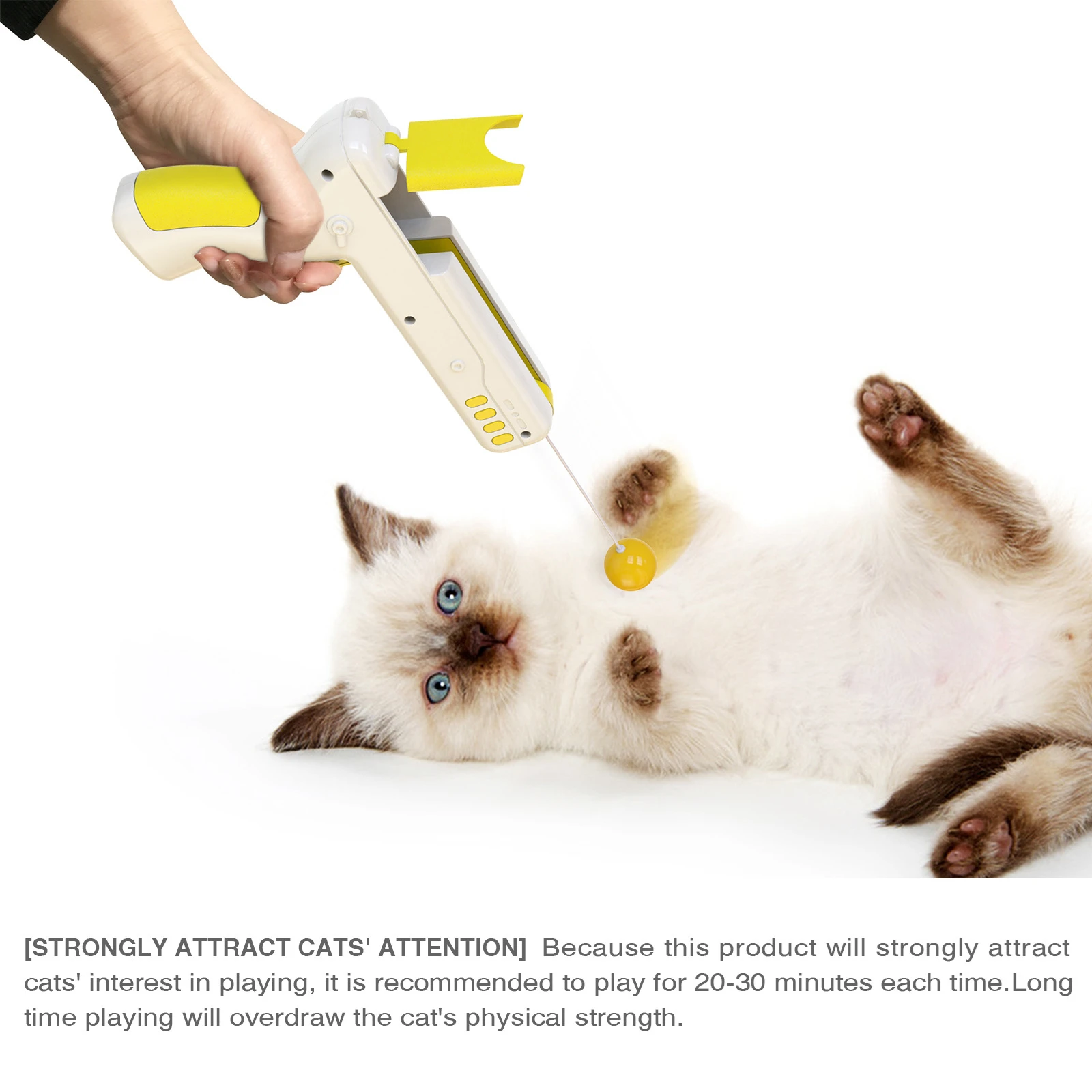 Funny Cat Pics With Guns