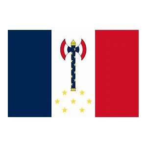 90-150cm-vichy-france-flag-for-decoration.jpg