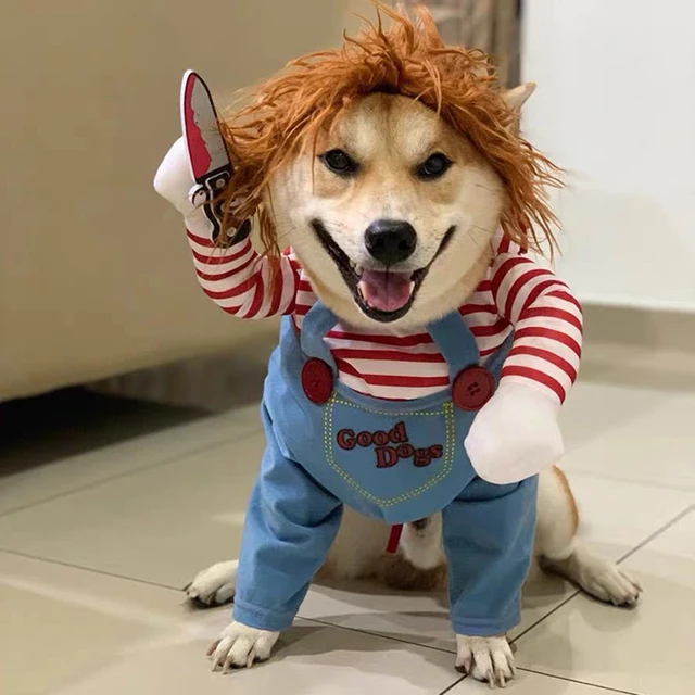 Outfit Cani | atelier-yuwa.ciao.jp