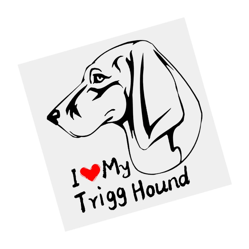Is A Trigg Hound A Good Pet