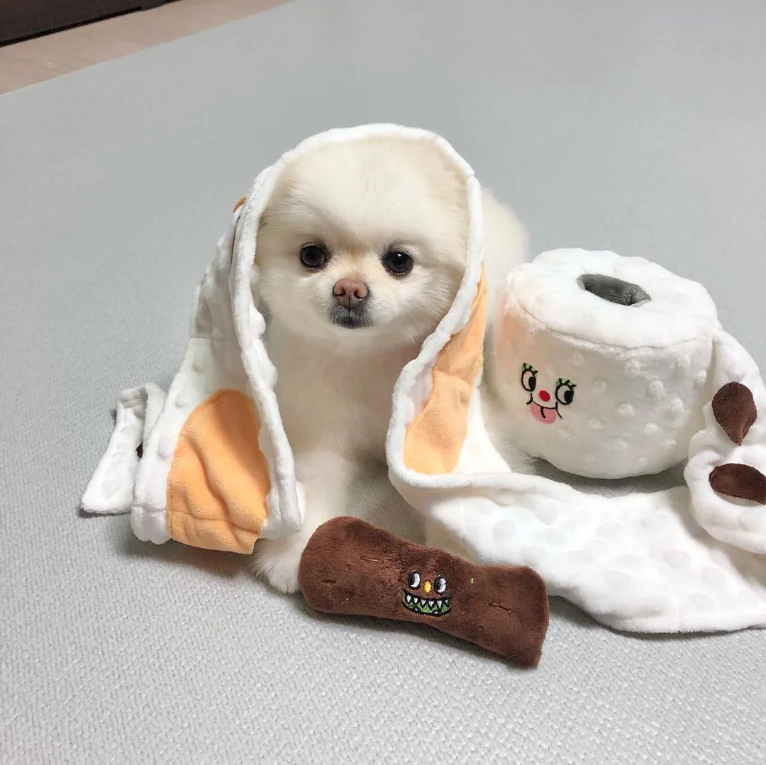 A Toy Dog That Poops