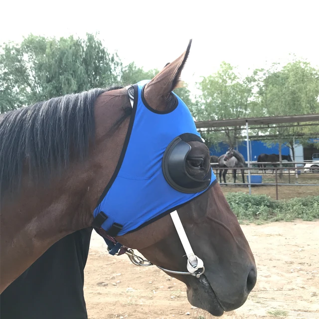 Horse Eye Cover