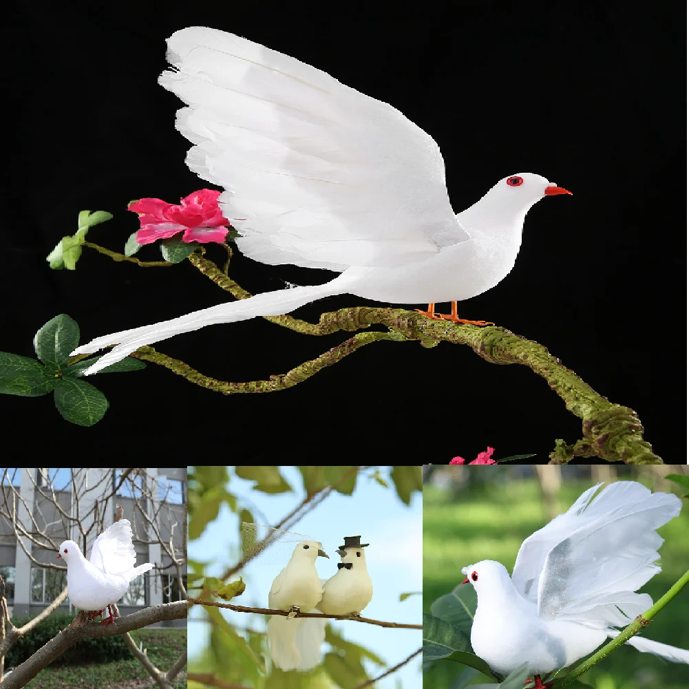 White Doves Birds: Symbolism, Uses, and Decorative Options for Every ...