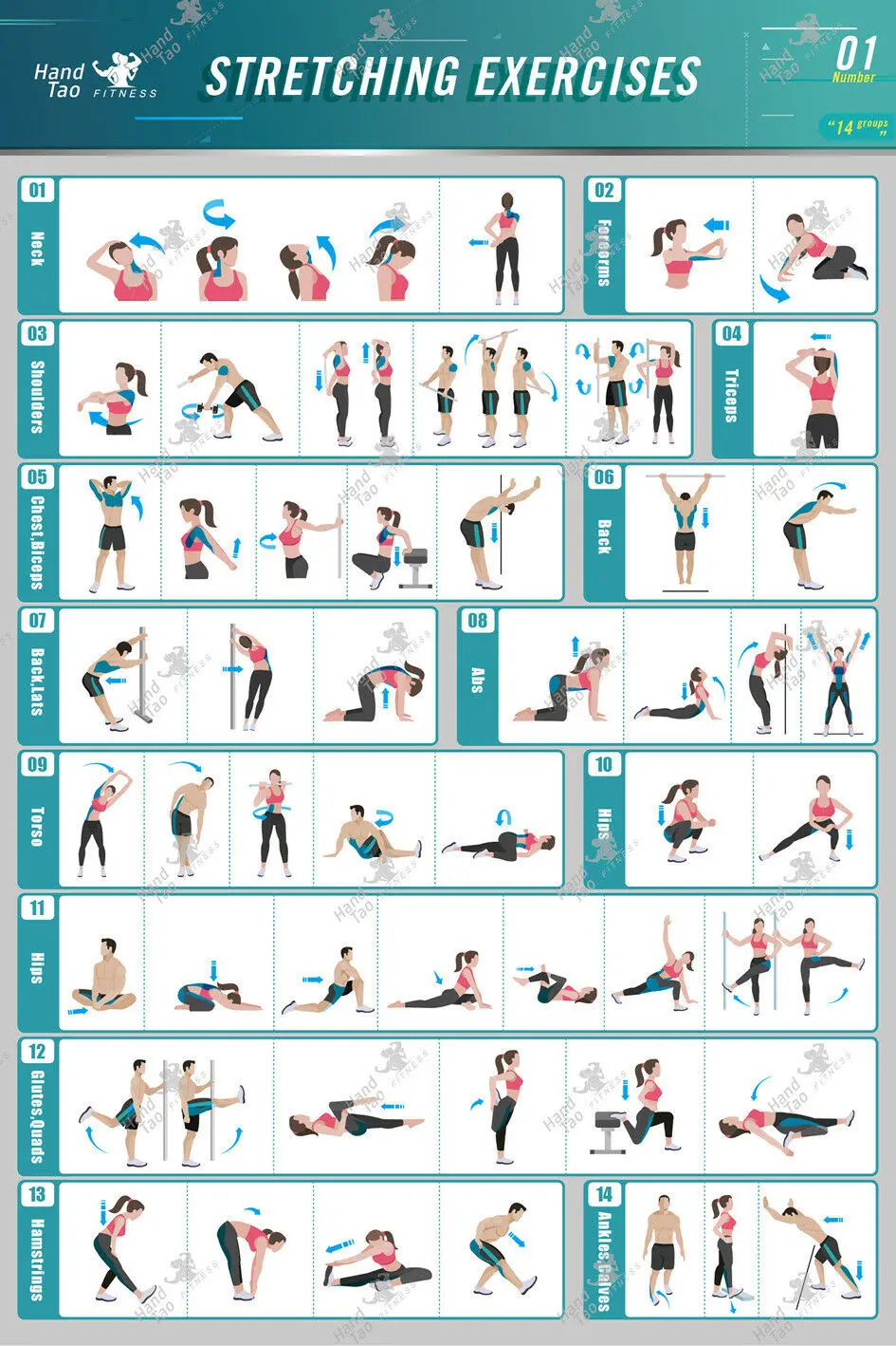 Stretching Chart