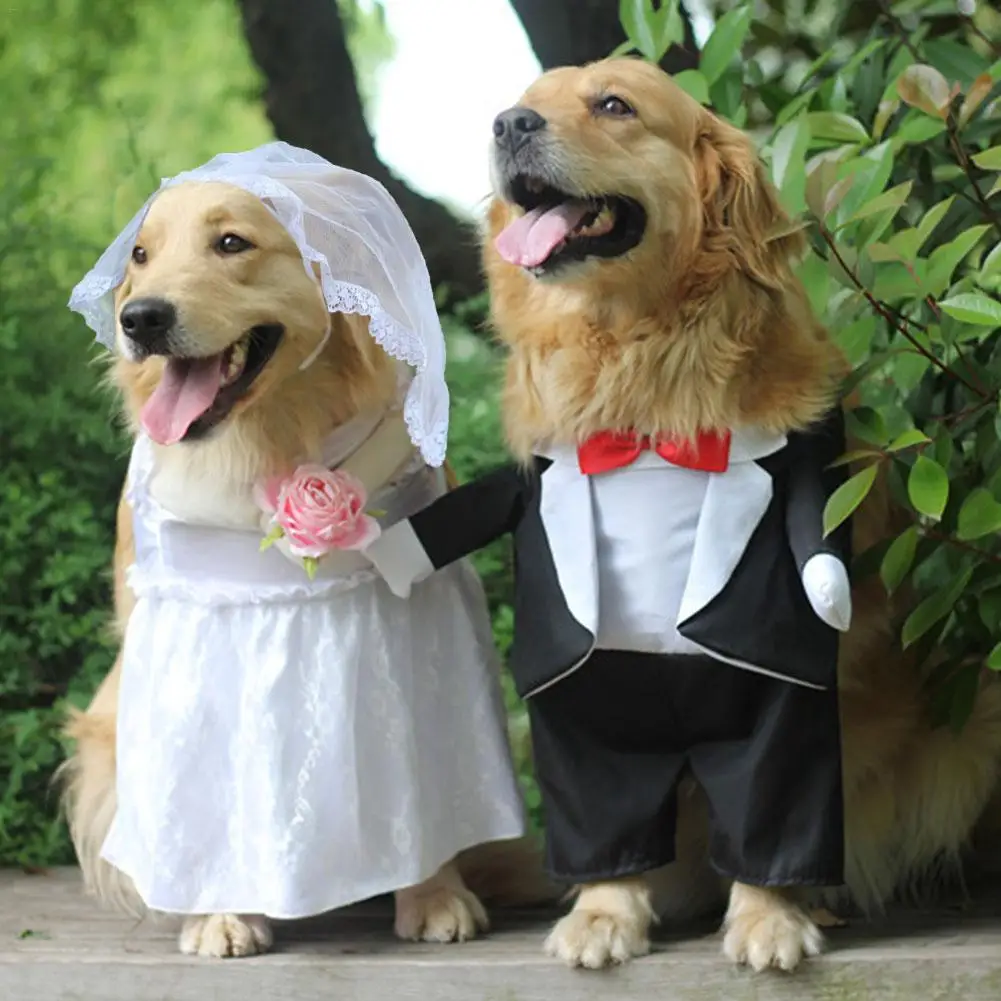 Dog Wedding Dress