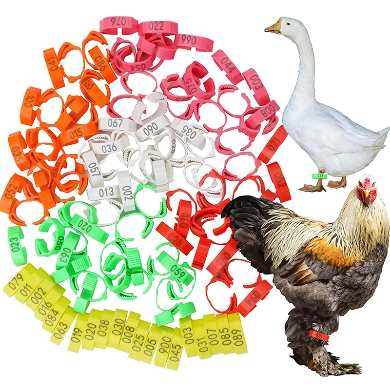 10/30/50Pcs Adjustable Chicken Foot Ring 6 Colors Numbered ...