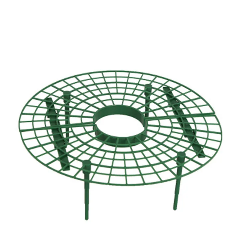 Tuteur Plante,Support de fraises en plastique,cadre de Support de ...