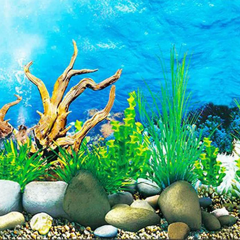 Fish Tank Background Hd