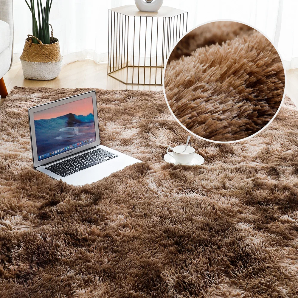 Thick Carpet For Living Room Fluffy Carpet - Shopsepic