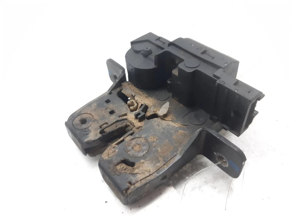 Mira cemento Musgo cerradura maletero renault laguna 2 Misterioso Brote ...