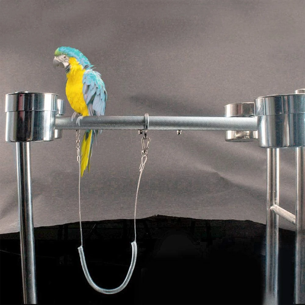 3M Parrot Bird Flying Training Leash Ultra Light Flexible Rope Anti ...