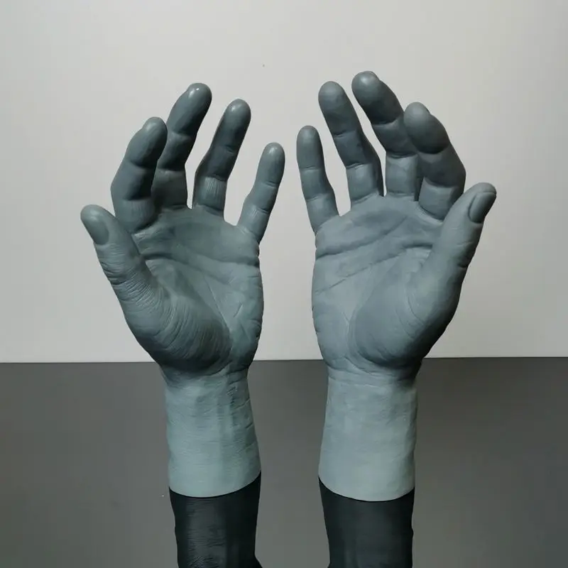 Male Hands Reference