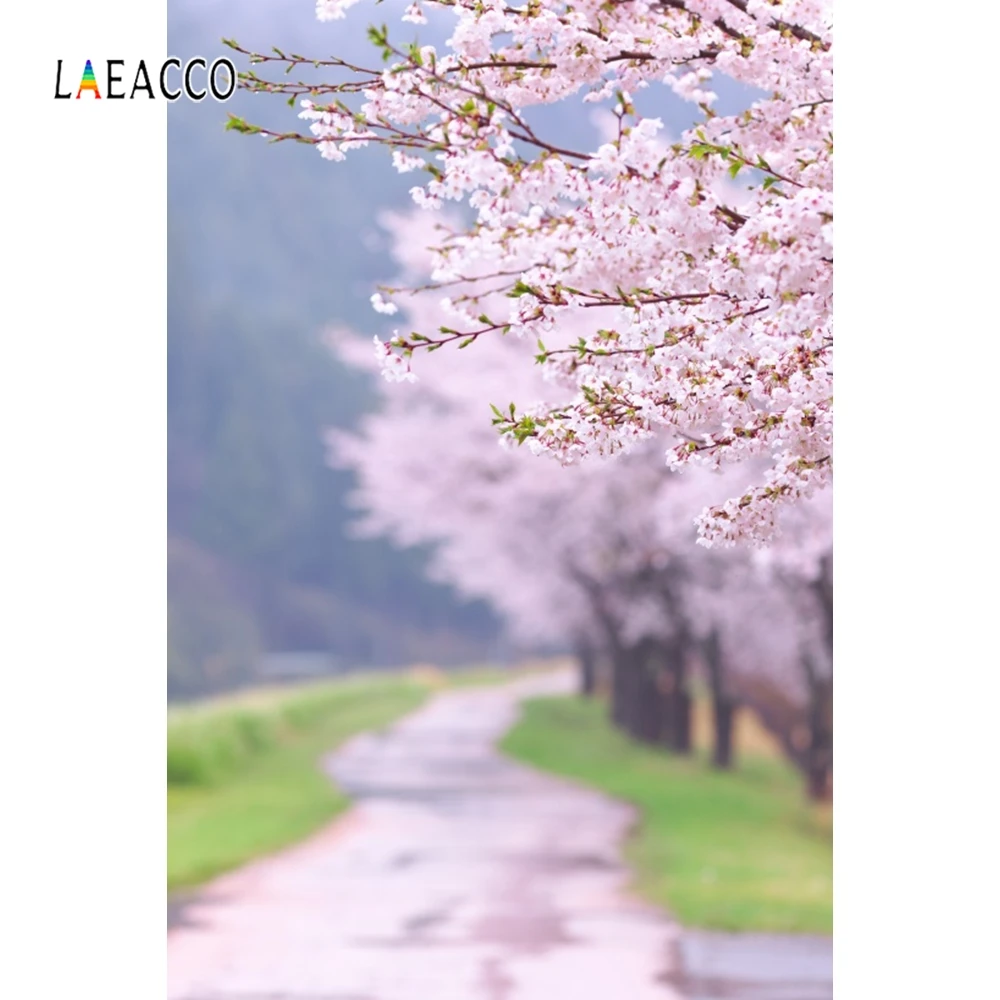 Laeacco Spring Portrait Photophone Forest Blossom Trees Pathway ...