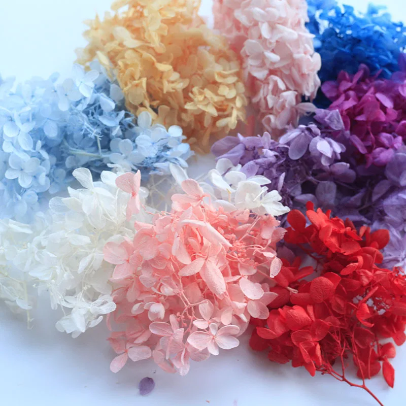Hydrangea-Dried-Flower-Natural-Fresh-Preserved-Flowers-Dried-Small ...