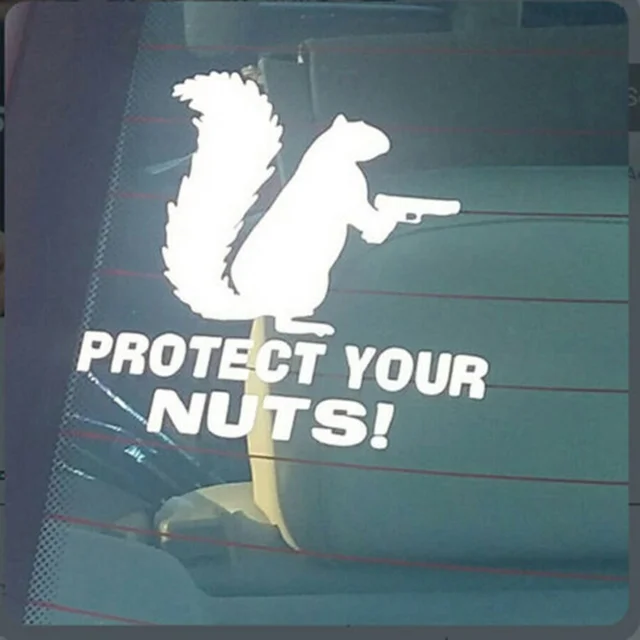 Protect Your Nuts Squirrel Police Army Navy Marines Car Stickers And ...