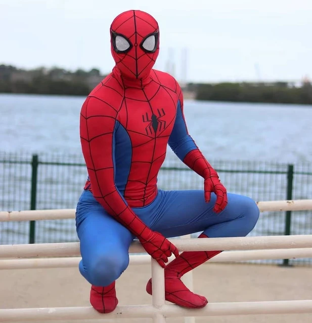 Spectacular Spiderman Costume