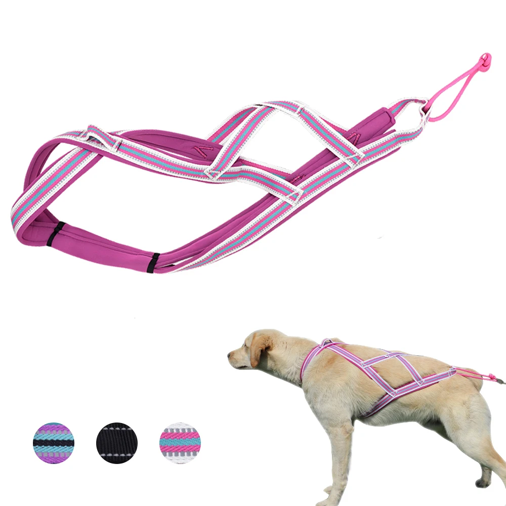 Dog Sled Pulling Harness