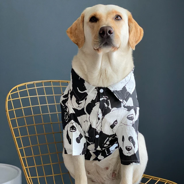 Burgund Mikrowelle Geheim mantel labrador Gewehr Erinnern Nachkommen