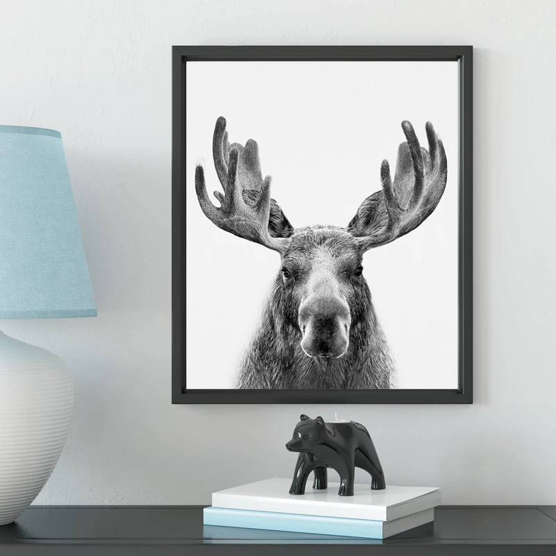 Black And White Moose