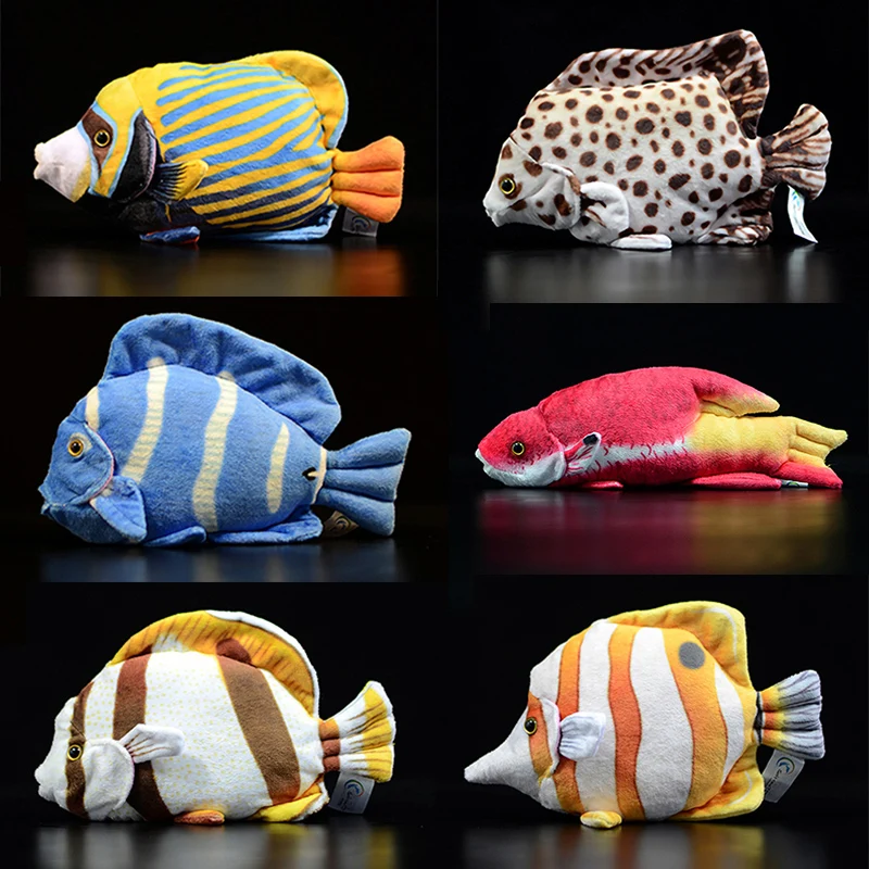 Regal Blue Tang Emperor Royal Angelfish Four-banded butterflyfish ...