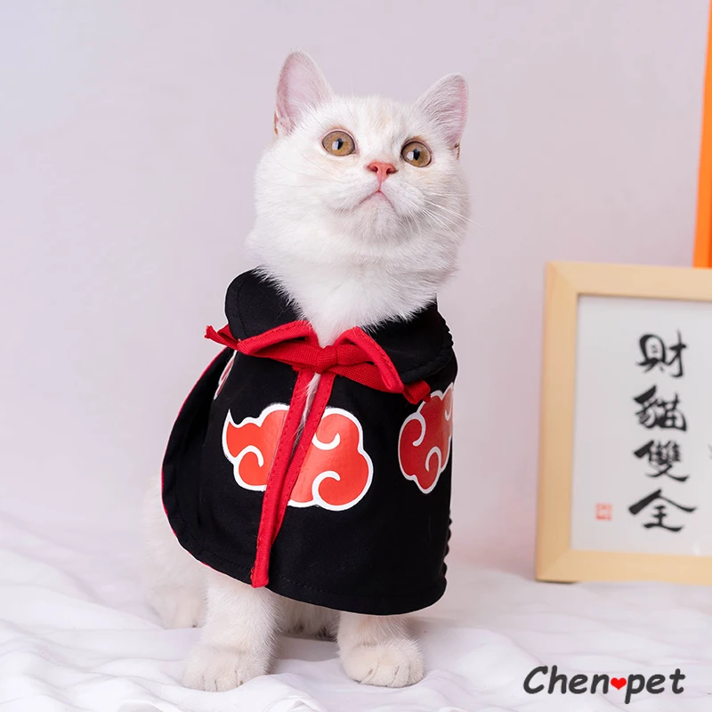 Gato Com Capuz Adequadas Para Pequenos Engraçado Gato Traje Naruto ...
