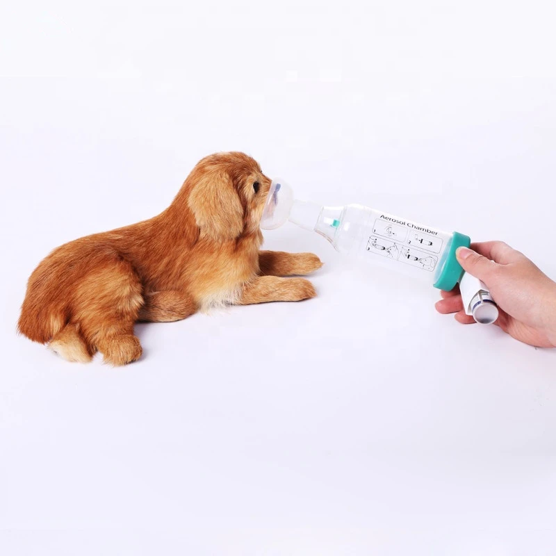 How Do You Treat A Dog With Asthma