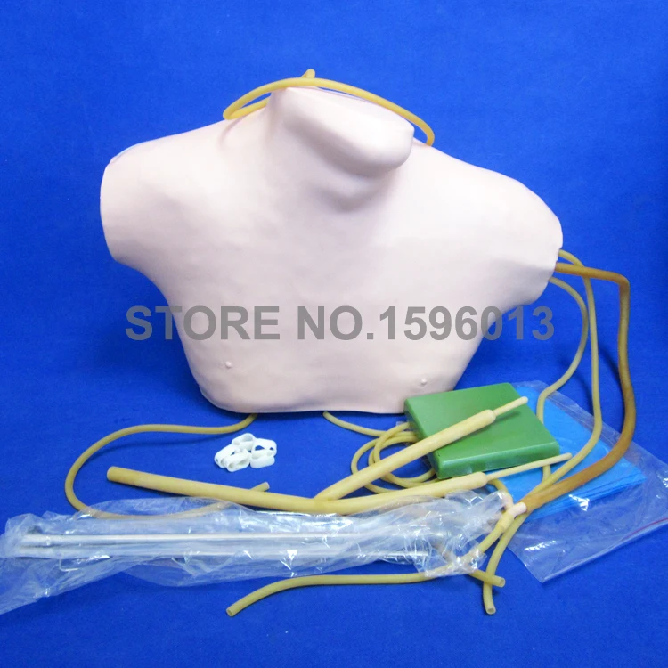 Patient Central Venous Catheterization Model CVC Simulator Venipuncture ...