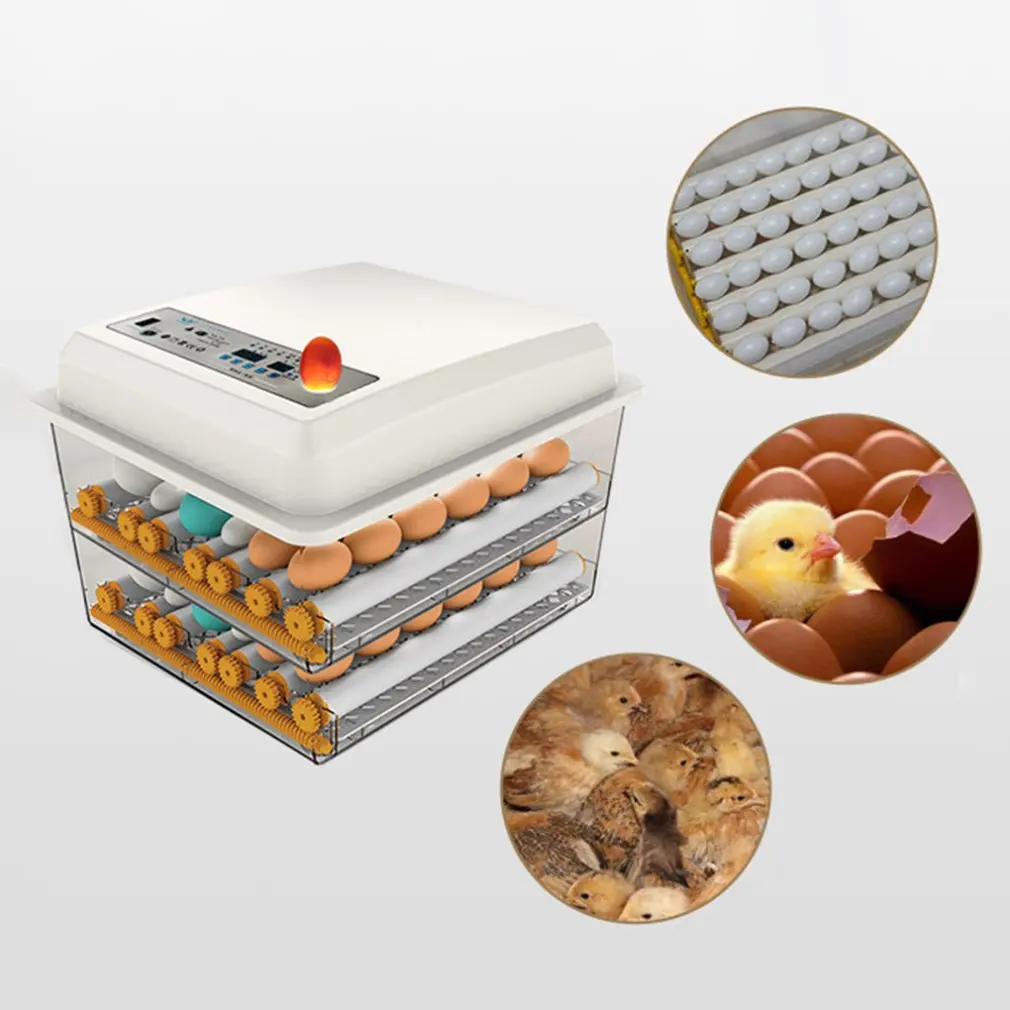 220V-Eggs-Incubator-Brooder-Bird-Quail-Incubator-Chick-Hatchery ...