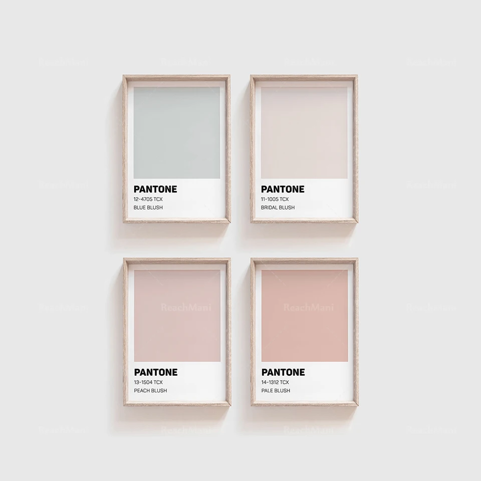 Blush Color Pantone