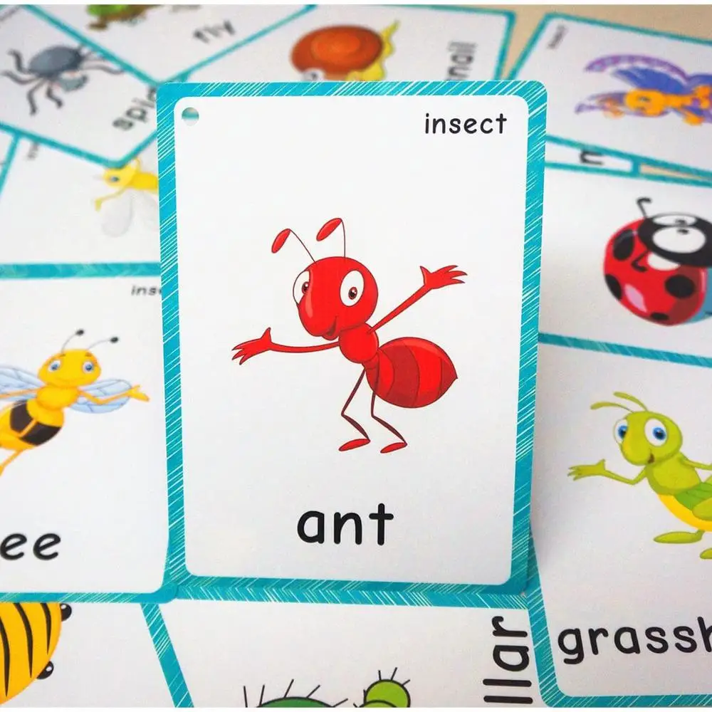 14pcs-Insects-Flashcards-Kids-Learning-English-Word-Cards-For ...