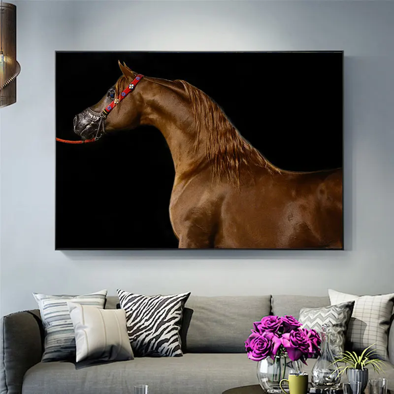 Beautiful Arabian Horse Pictures