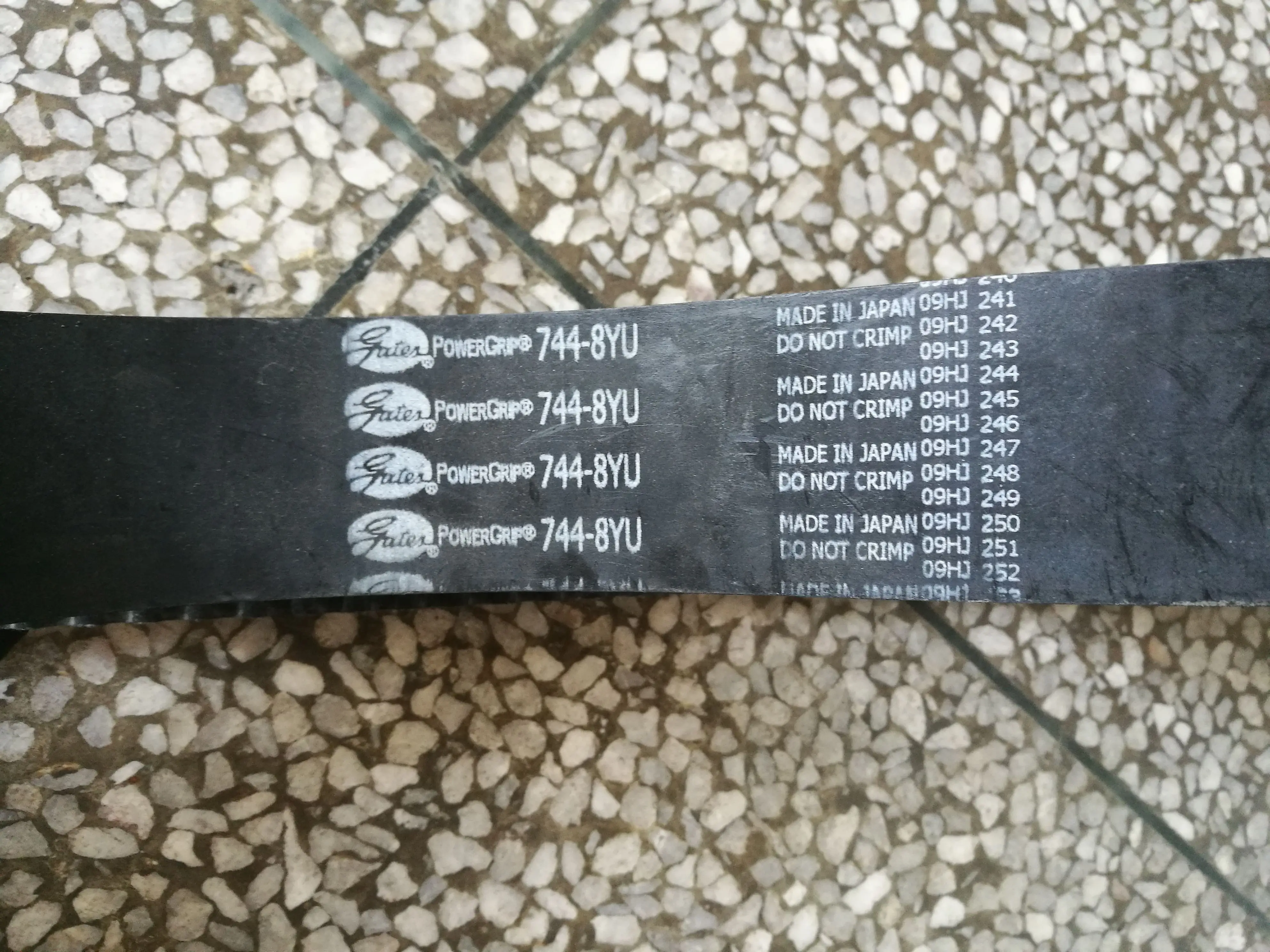 Gates-744-8YU-Timing-Belt.jpg