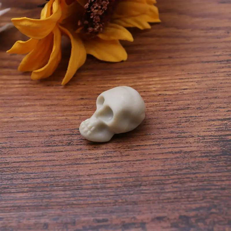 Collection Miniatures Model | Plastic Skull Decoration | Small Skull ...