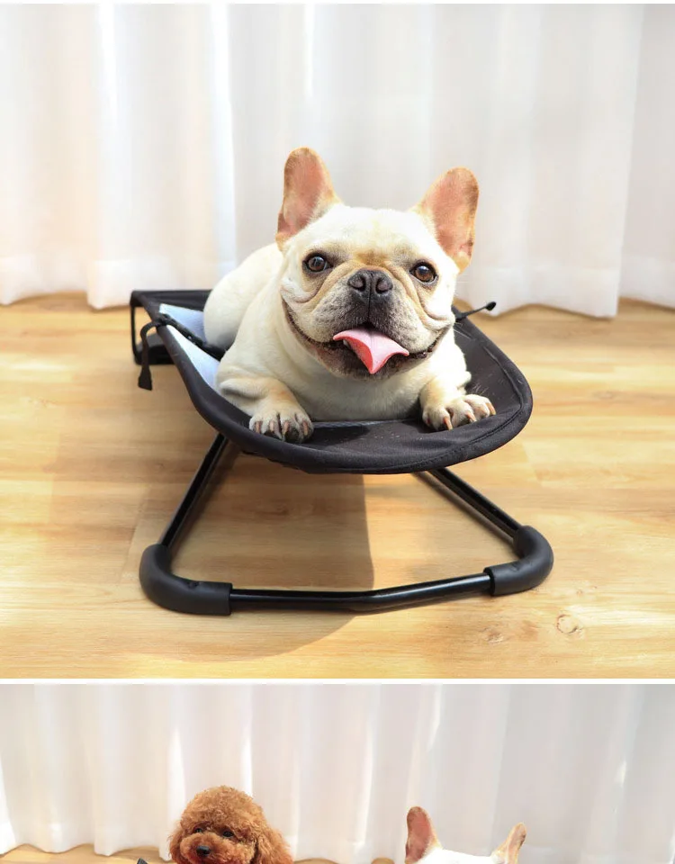 Dog Rocking Chair | asghedom.com