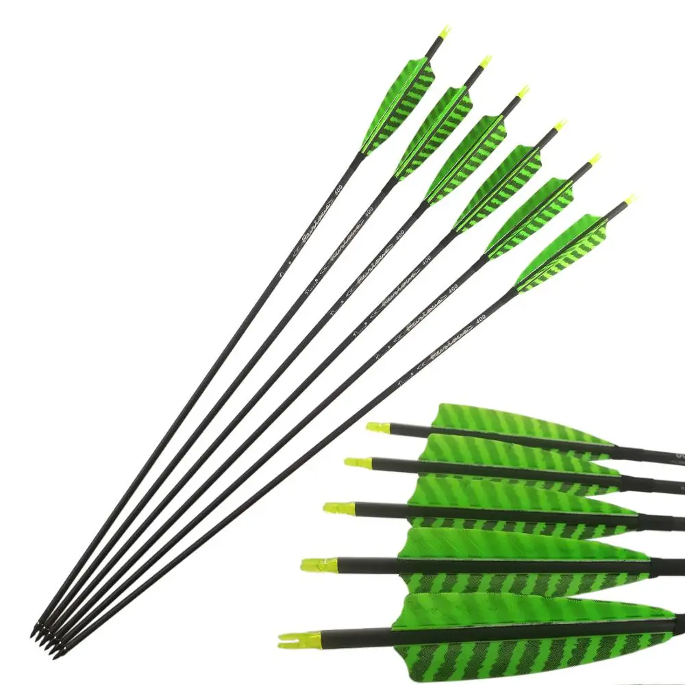 Pinals-Archery-Carbon-Arrows-Spine-300-340-400-500-600-100-Grain-Points ...