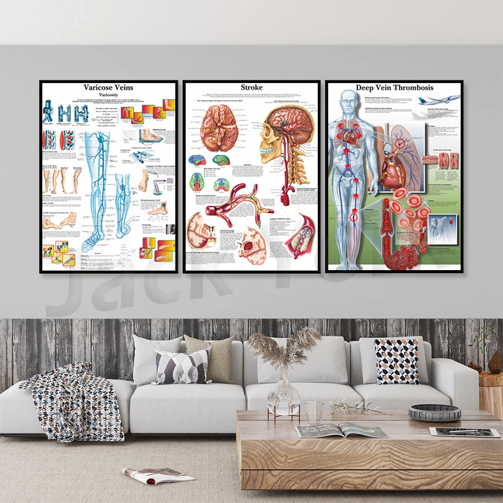 Menselijk Neus Diagram