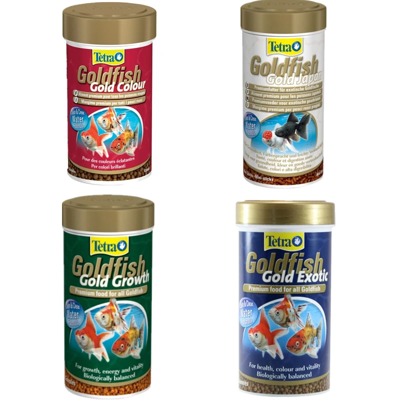Tetra-Goldfish-Gold-Color-Growth-Exotic-Japan-Fish-Food-fish-tank ...