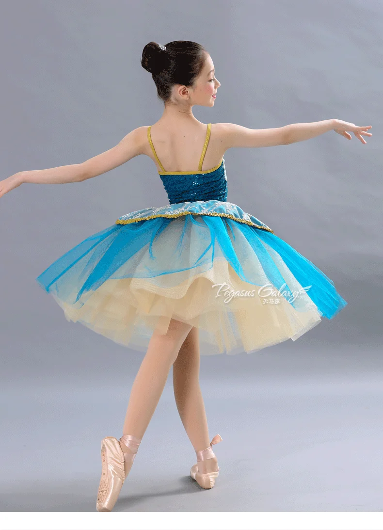 H2697 Girls Ballet Dance Dress Stage Blue Dancewear Children Swan Lake ...