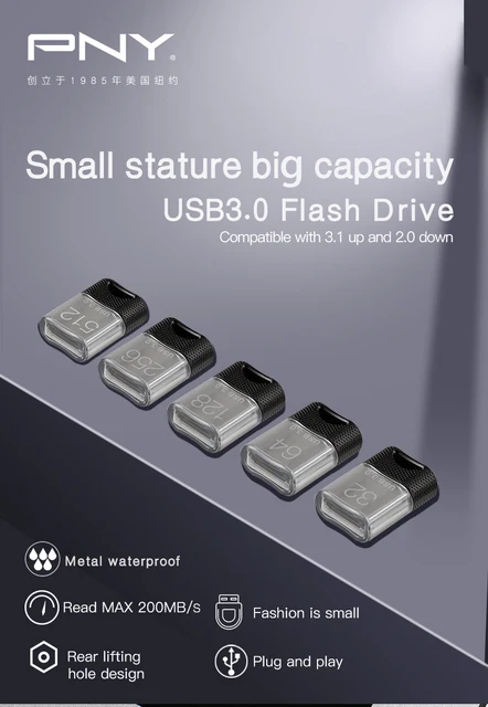 Pny Micro Metal Flash