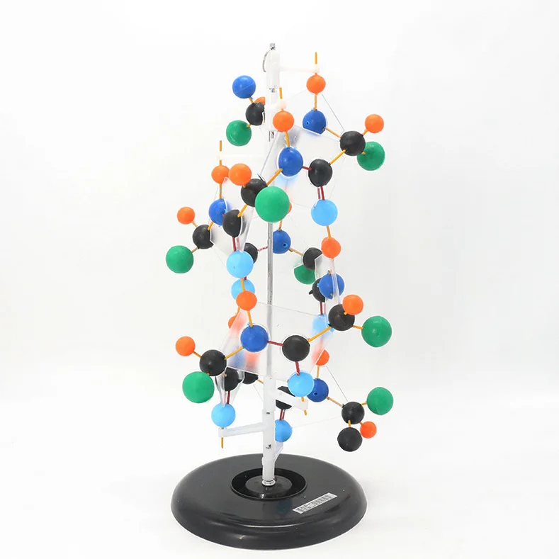 Dna Model With Styrofoam Balls