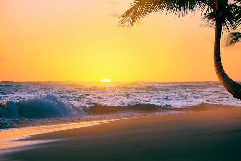 Tropical Sunrise Wallpaper