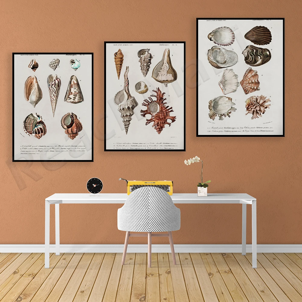 Shell Art Prints, Shell Paintings, Nautical Wall Decoration, Modern ...