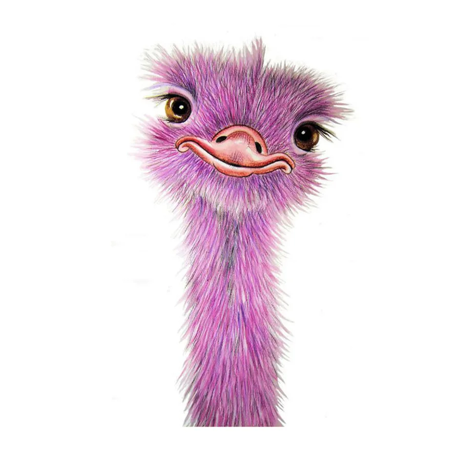 Mad Ostrich