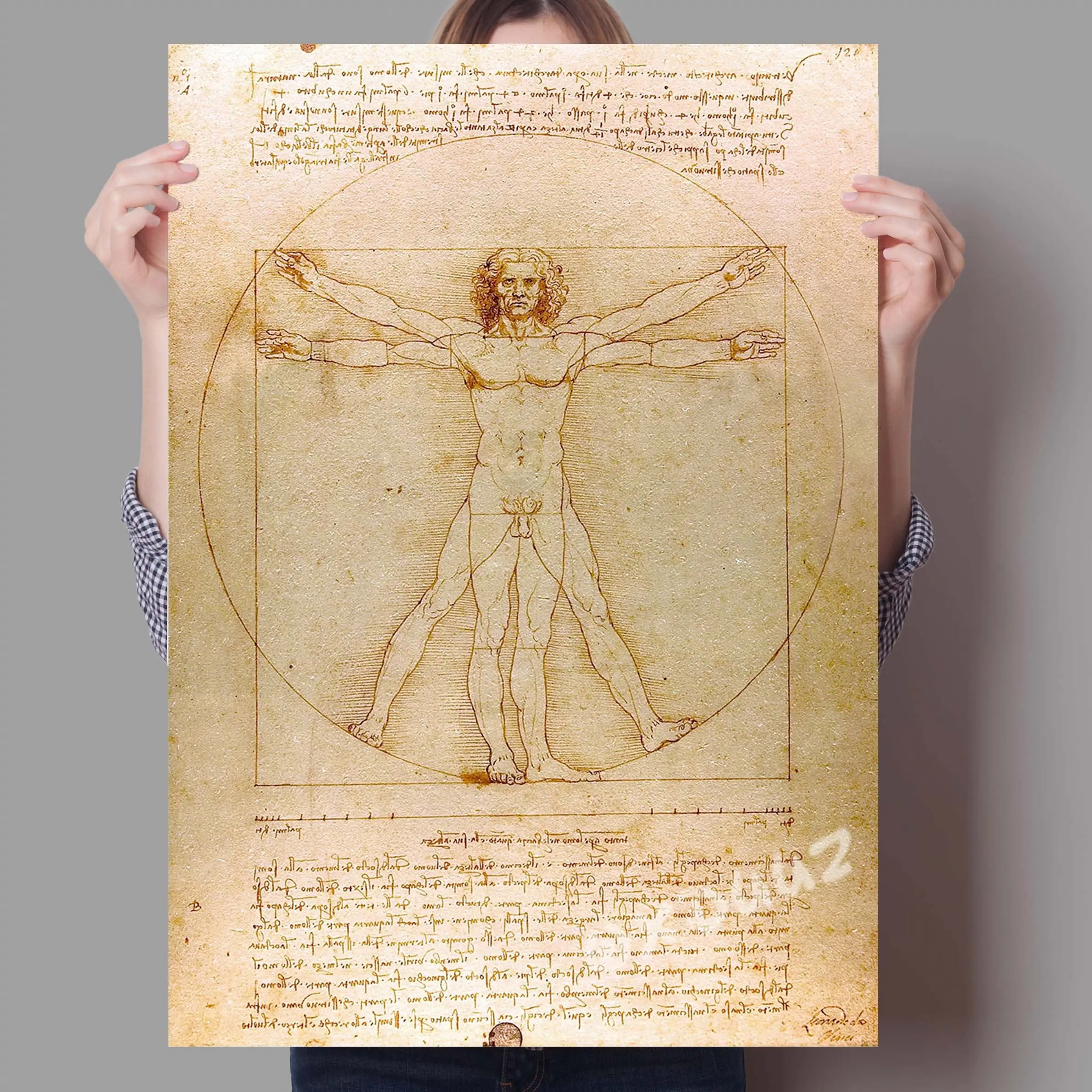 Human Body Da Vinci